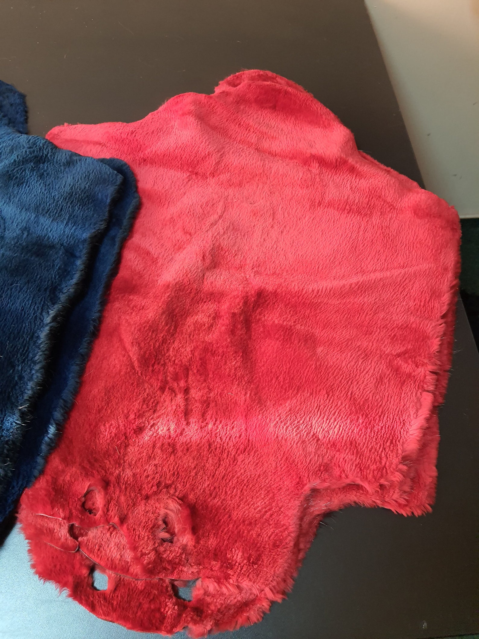 Dyed Sheared Beaver Pelt Colored Beaver Fur Paint Real | Etsy