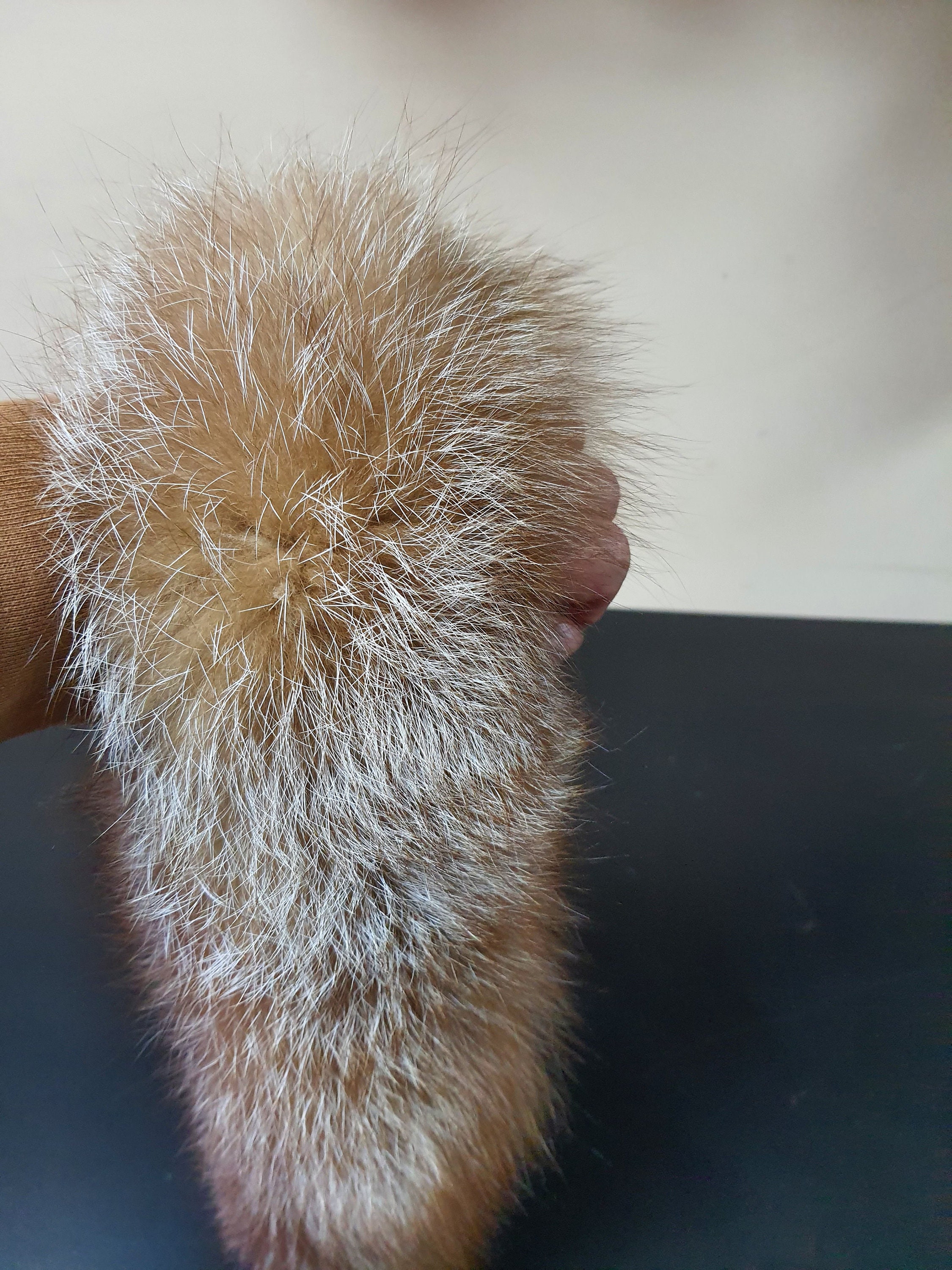 Crystal fox fur trim for hood Furry Stripe for Jacket | Etsy