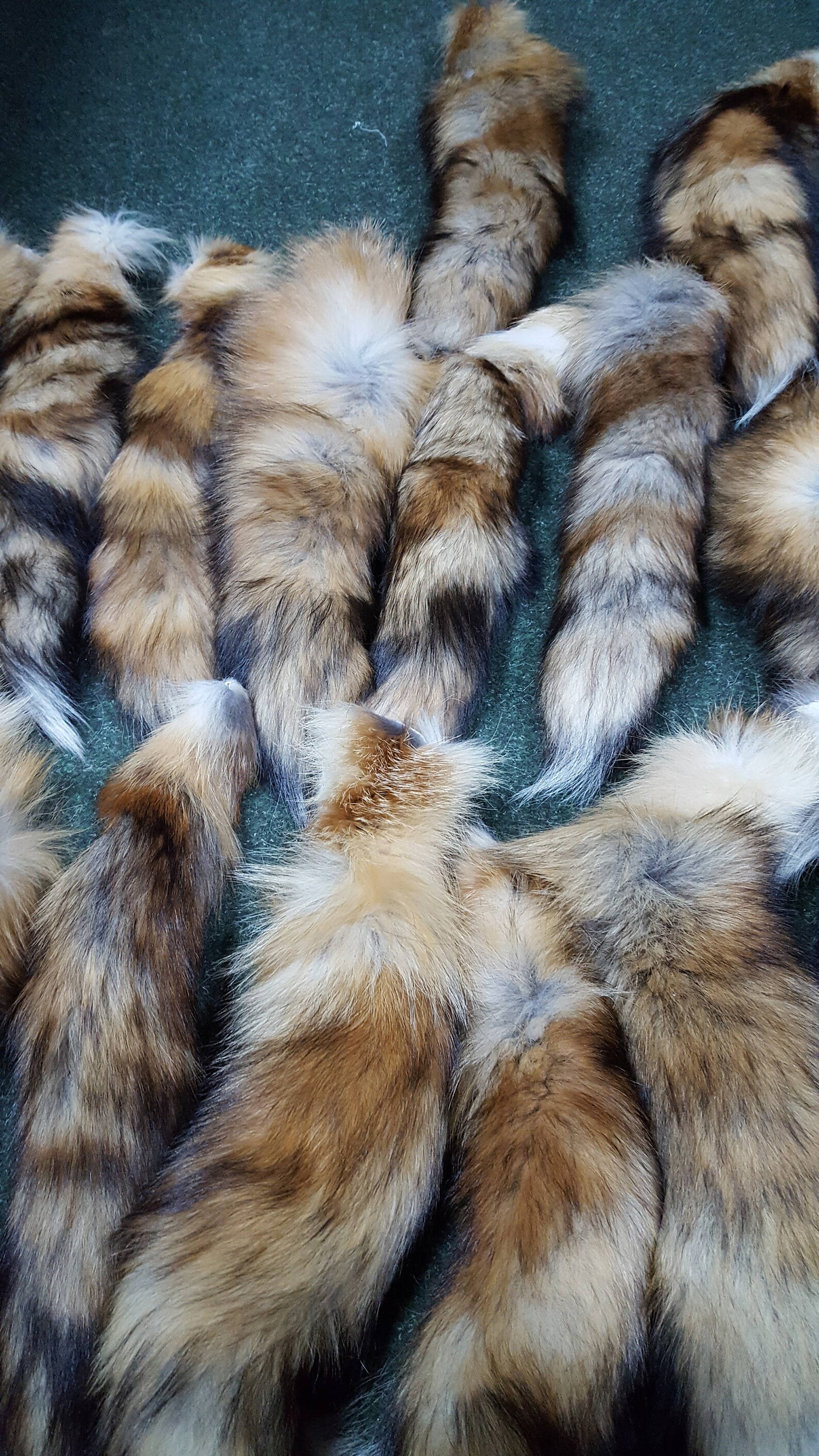 Real Fox Tail Fox Tail Fox Tails Red Fox Red Fox Tail Fox - Etsy UK