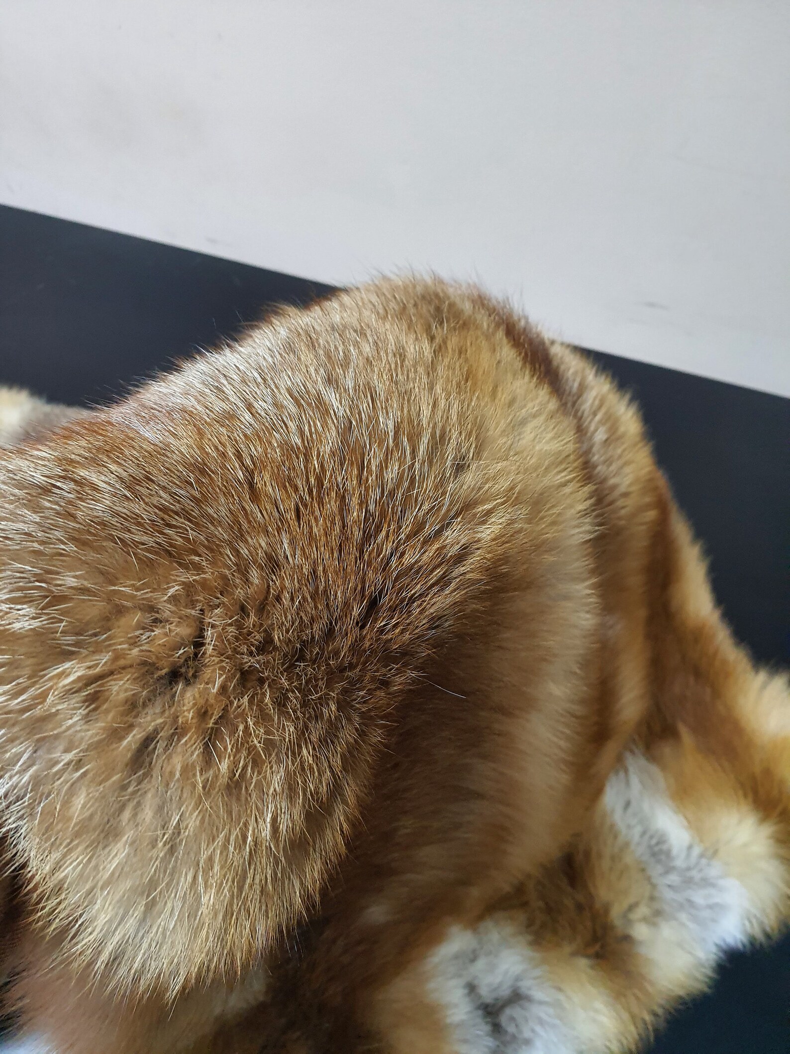 Fur Throw Real Fur Blanket Real Fur Rug Fur Carpet Real | Etsy