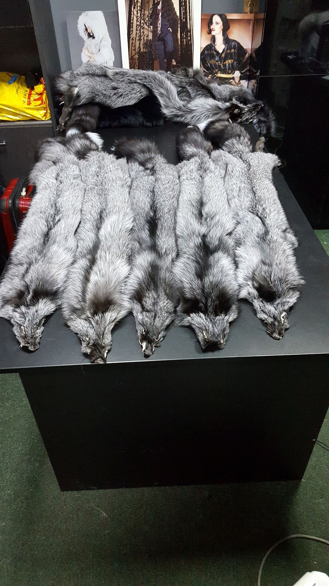 Silver Fox Pelt, Pelt, Silver Fox, Fox Fur, Fox Pelt, Silver Fox Fur ...