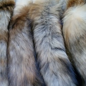 Real Fox Tail, Fox Tail, Fox Tails, Red Fox, Red Fox Tail, Fox Fur ...