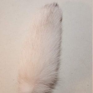 Large White Fox Tail Keychain With Gold Ring - Etsy