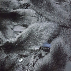 Black Fox, Shadow Fox, Blue Fox, Real Fox, Fox, Black Fox, Fox Pelt ...