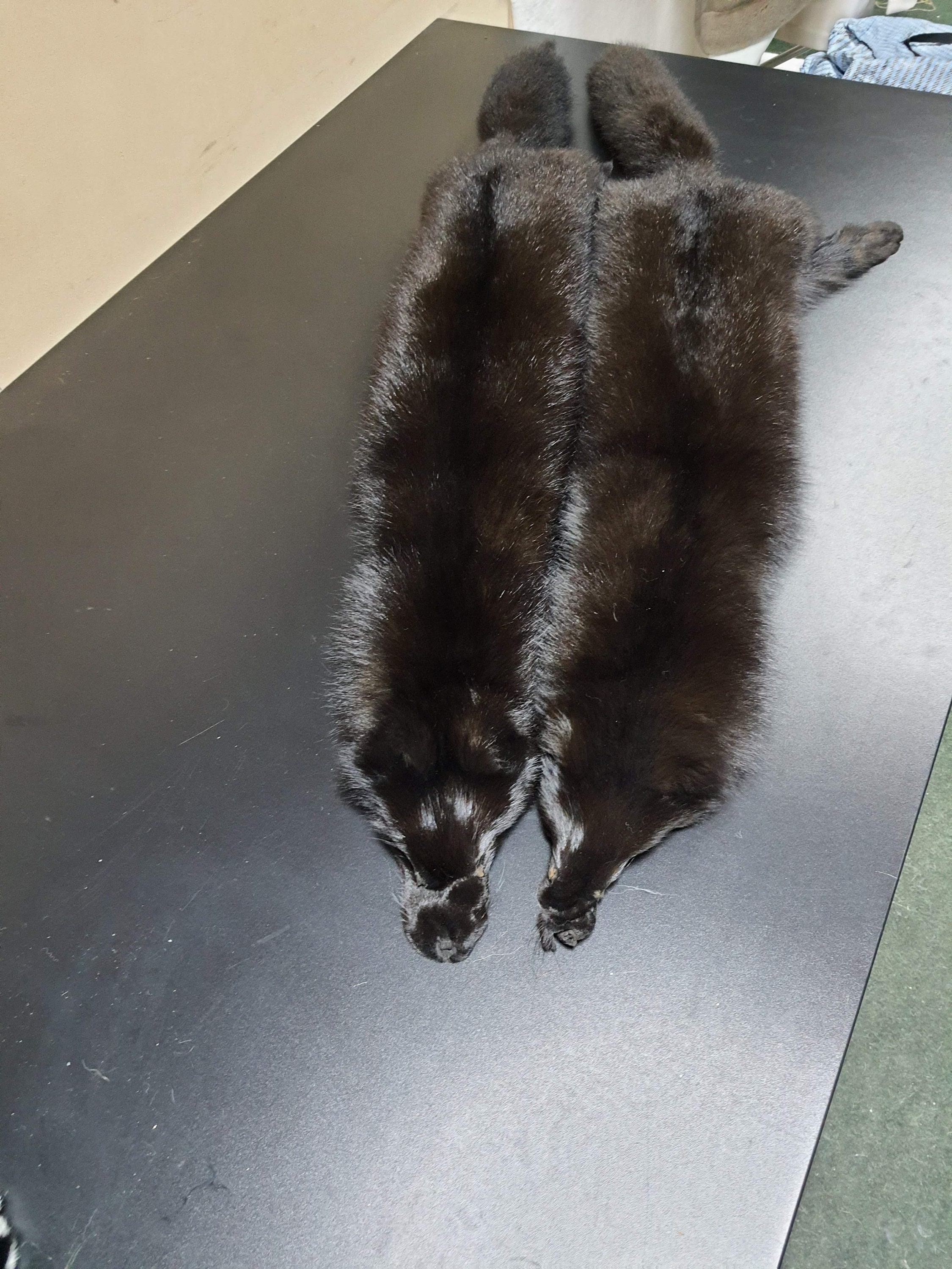 Dark Brown Fox Sable Color Fox Fur Shadow Fox Blue Fox - Etsy