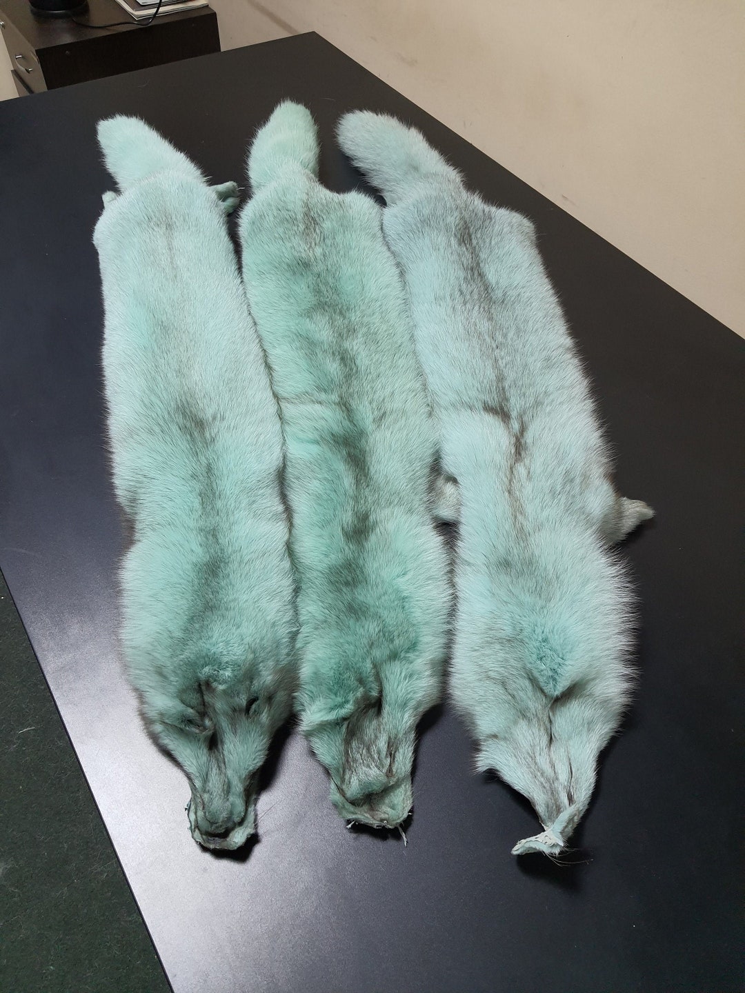 Light Green Fox Pelt, Light Green Shadow Fox Pelt, Light Green Fox Fur ...