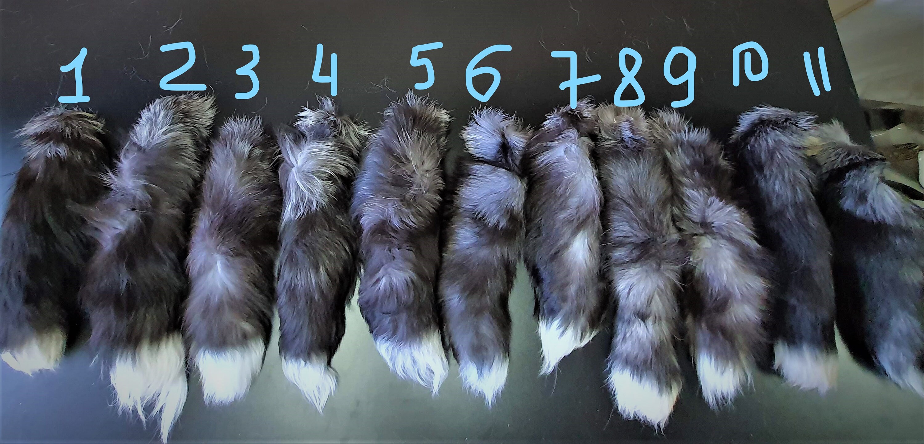 XXXL Silver Fox Tail Super Fluffy and Large 22 Inches/55cm - Etsy Canada