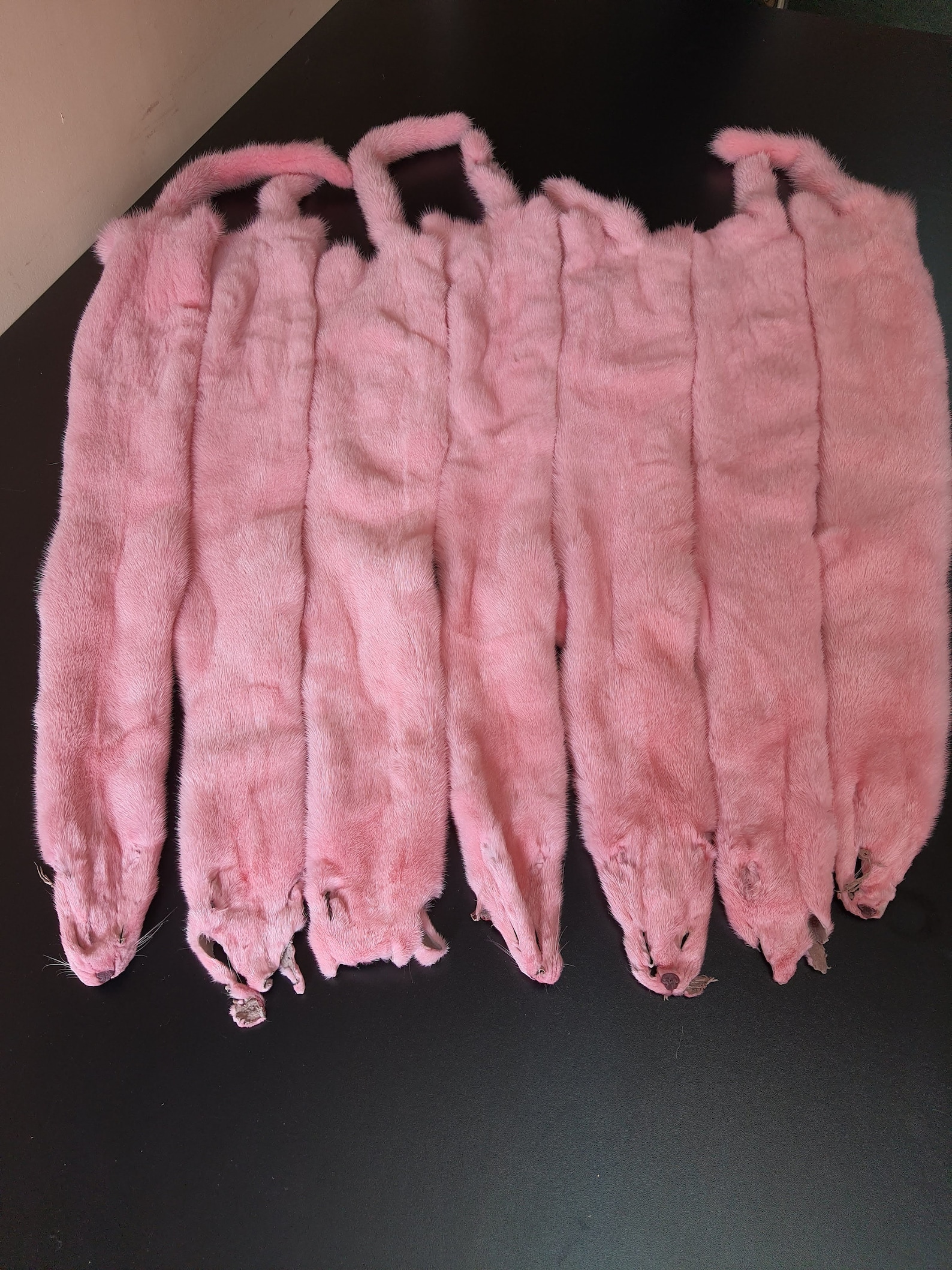 Pink mink pelt mink pelt mink pelts mink fur mink skin | Etsy