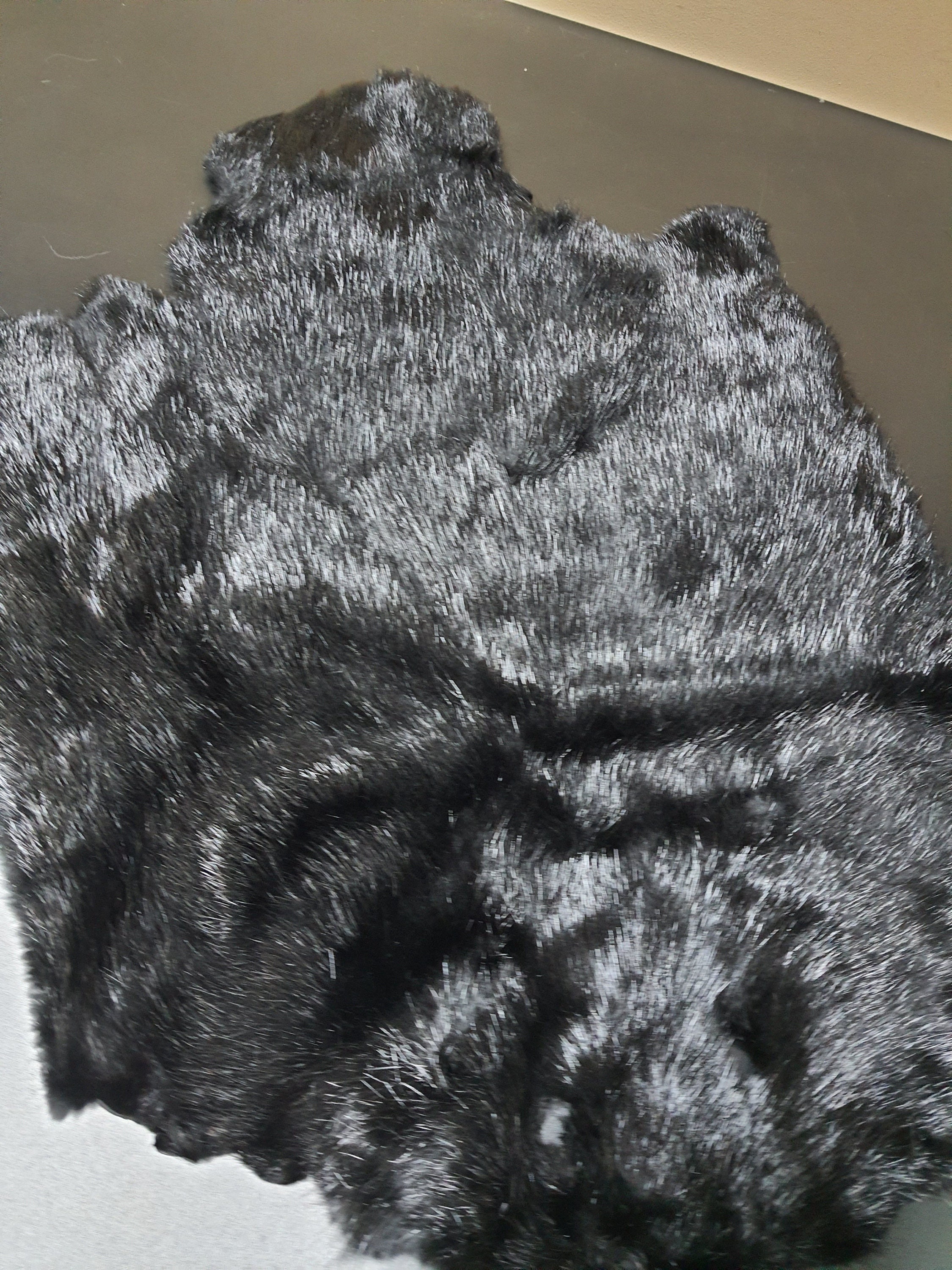 Large Black Beaver Pelt Beaver Fur Real Beaver Fur Beaver - Etsy