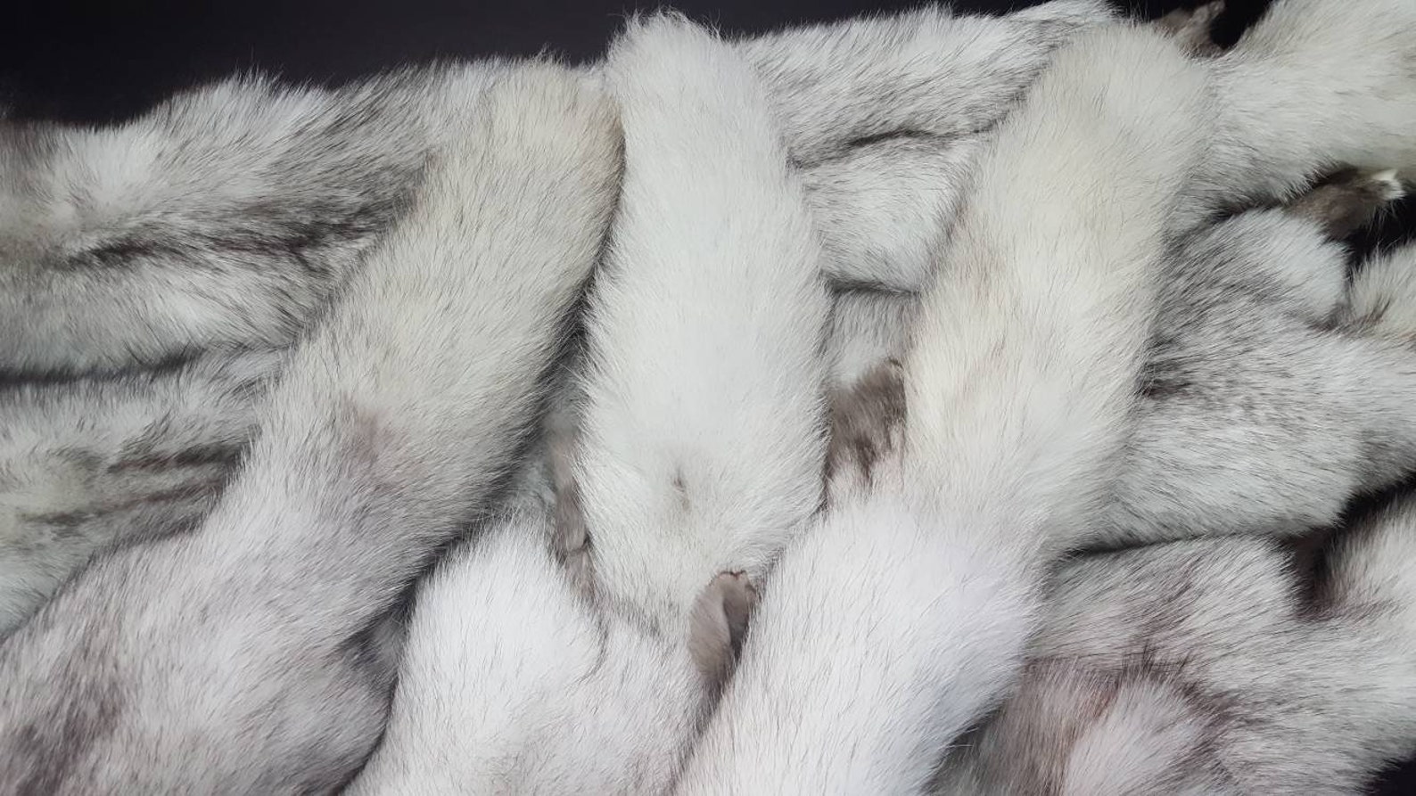 Real Fox Pelt Shadow Fox Pelt Fox Pelt Fox Fur Fox Skin - Etsy