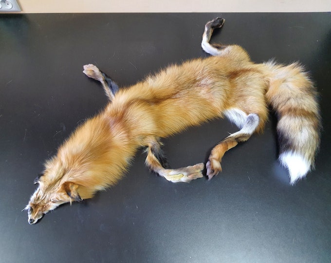 Finnish Gold Fox Pelt With Paws and Claws, Fox Pelt, Fox Skin, Fox Fur ...