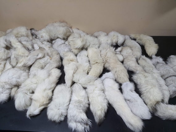 Real Fox Tail Fox Tail Fox Tails Shadow Fox Shadow Fox - Etsy