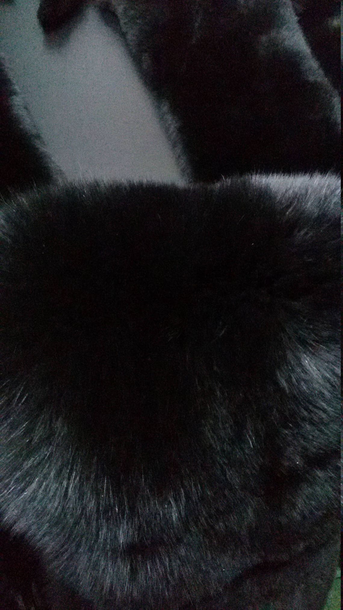 Black Fox Shadow Fox Blue Fox Real Fox Fox Black Fox Fox - Etsy