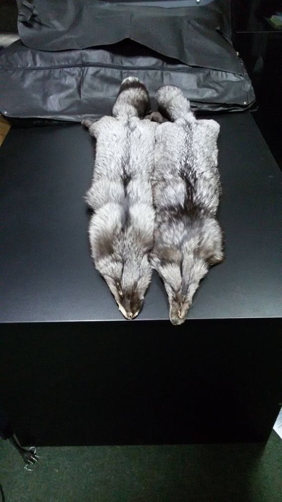 Silver fox pelt pelt silver fox fox fur fox pelt silver | Etsy