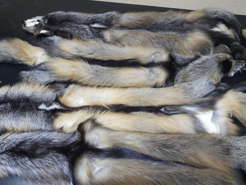 Cross Fox Pelt Fox Pelt Fox Pelts Fox Fur Real Fur Real | Etsy