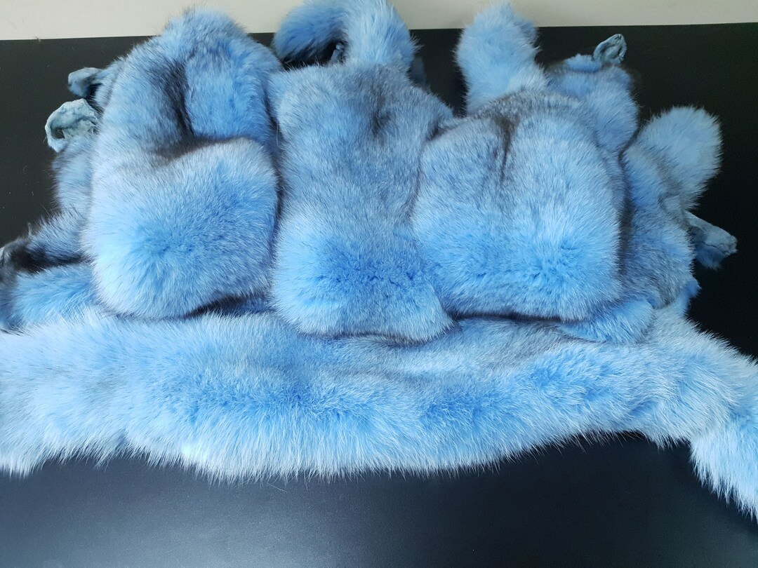 Blue Fox Pelt, Fox Fur, Fox Pelt, Fox Pelts, Fox Skin, Blue Fox Fur - Etsy