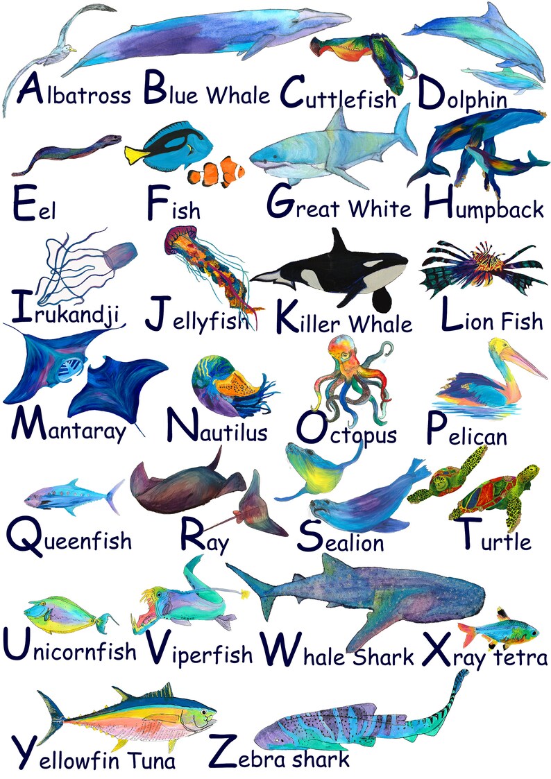 Wonders of the Ocean Alphabet Chart. S for Sealions - Etsy