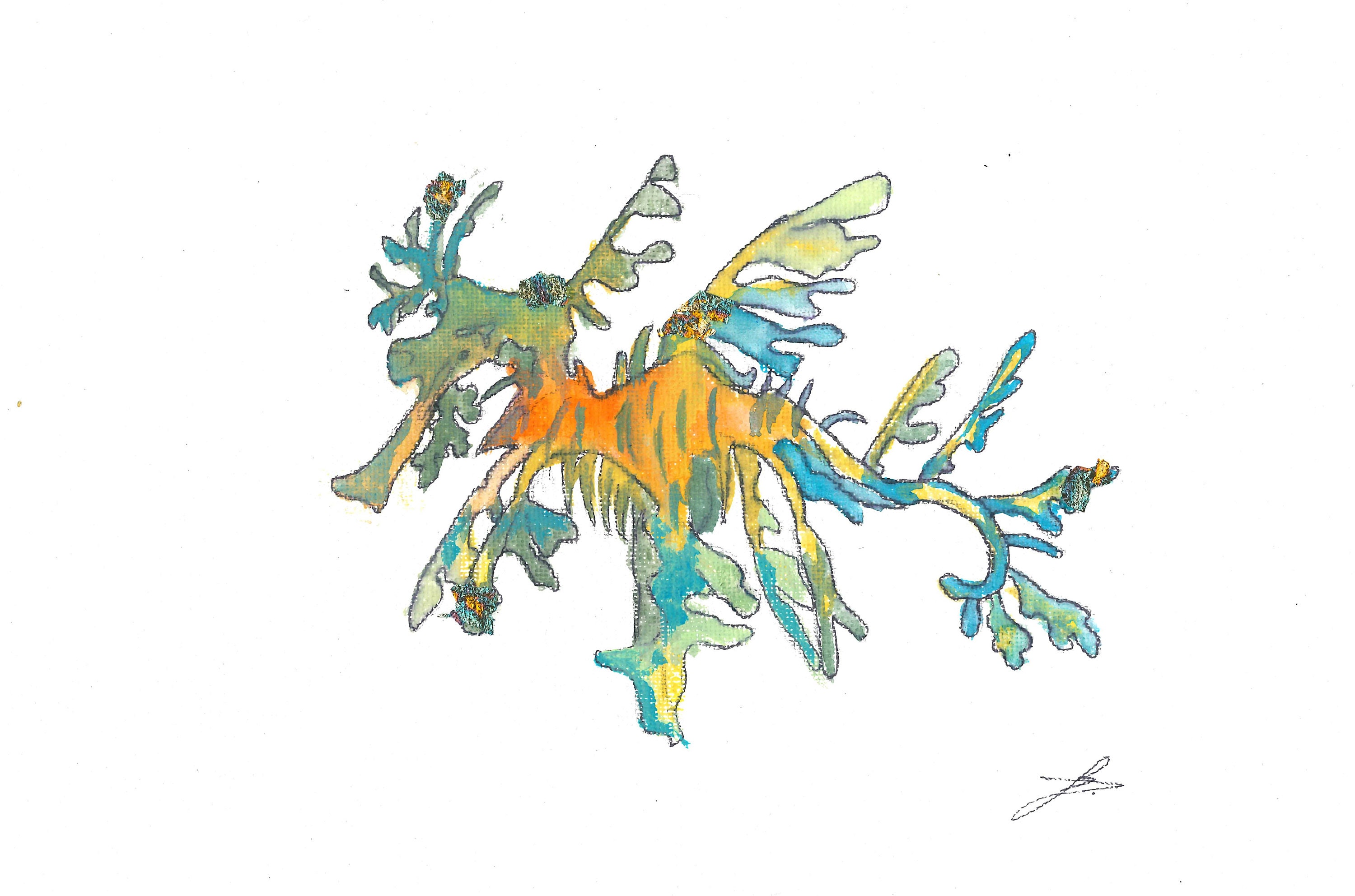 Colorful Sea Dragon