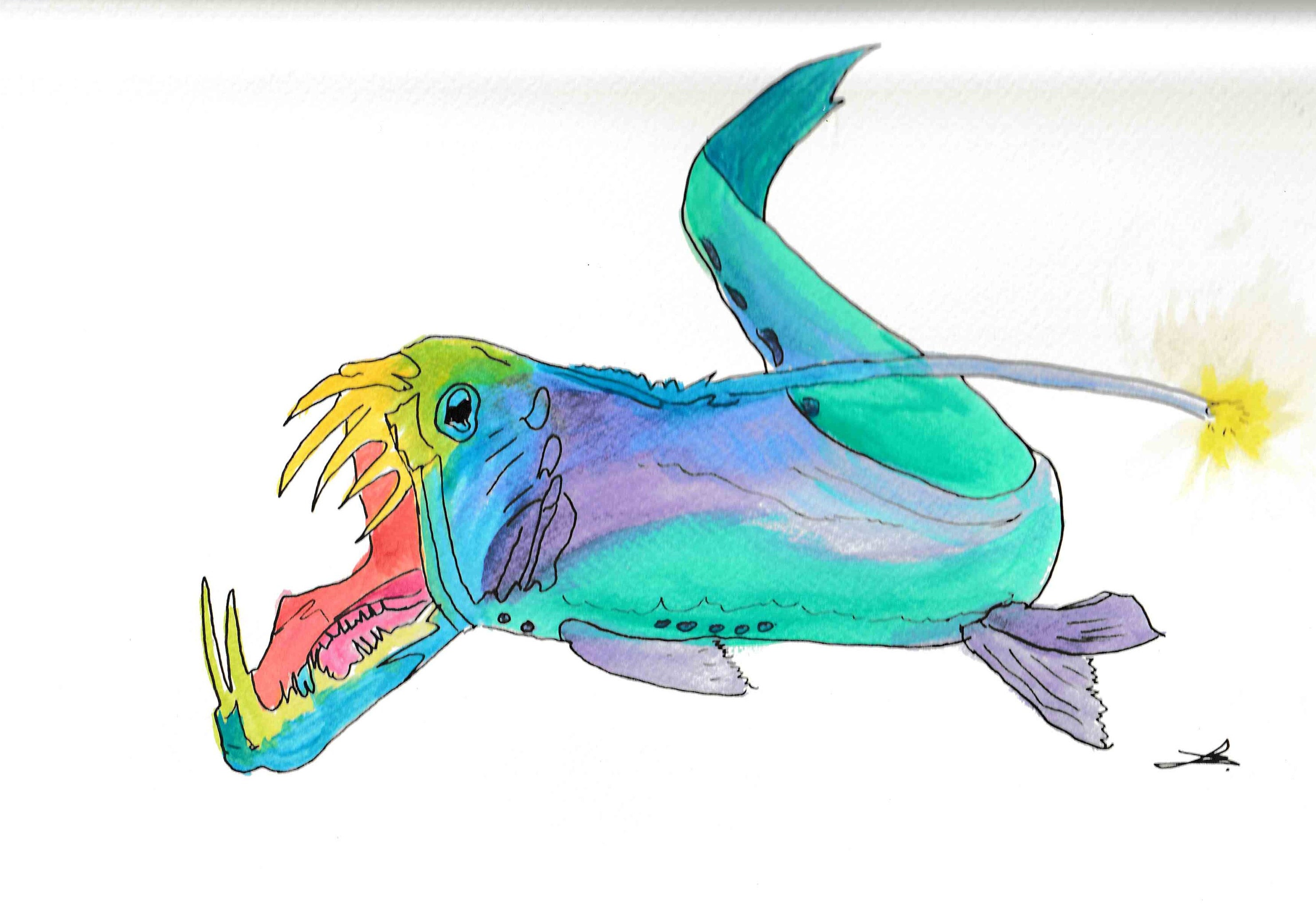 Viper Fish A3 Watercolour Painting of a Viper Fish - Etsy