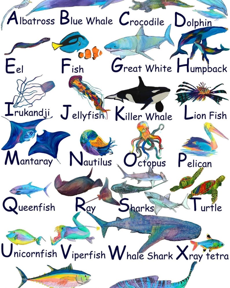 A-Z Ocean Alphabet Chart - Etsy UK