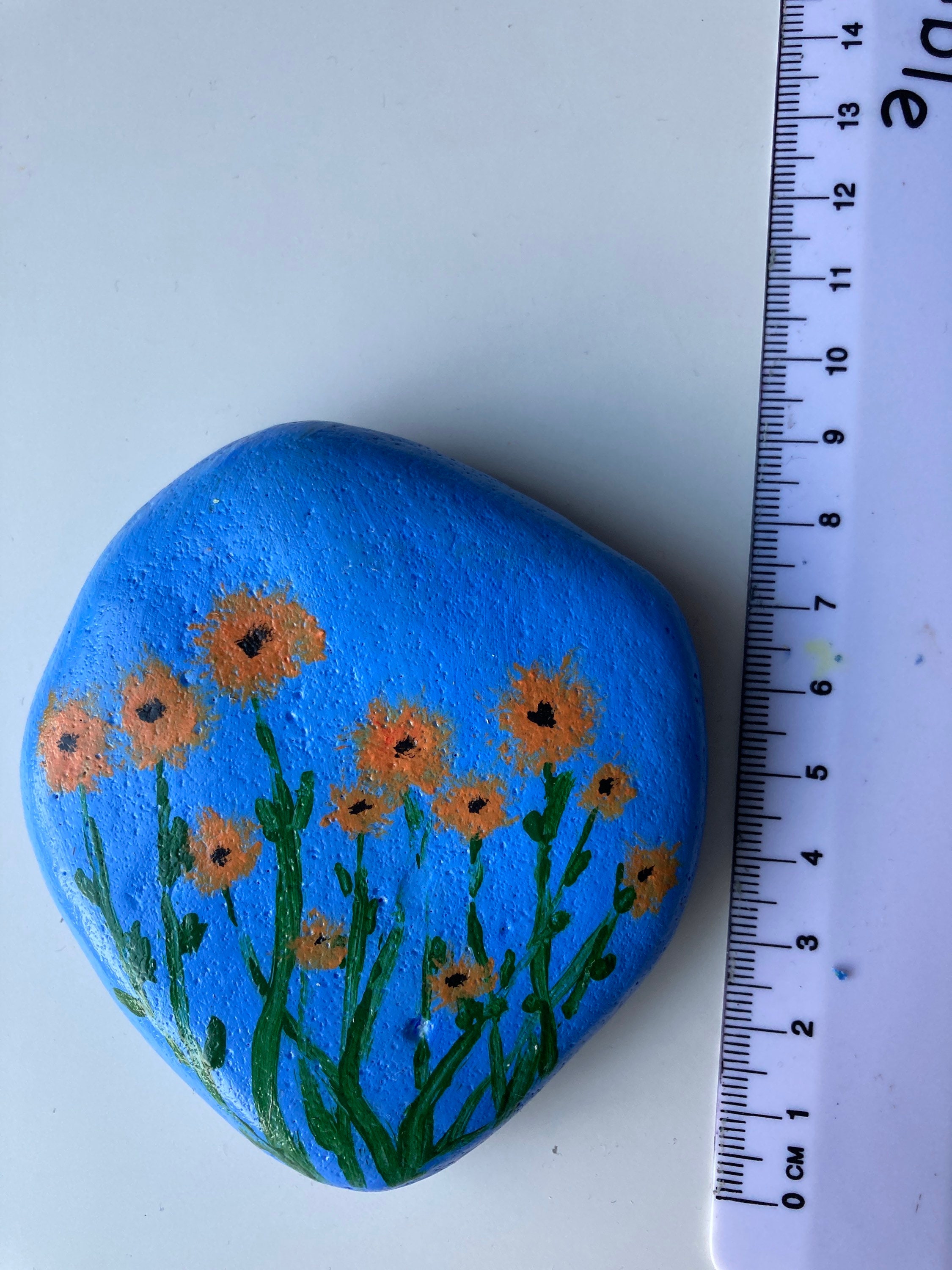 Hand Painted Sea Rock Hand Painted Pebble Painted Pebble - Etsy