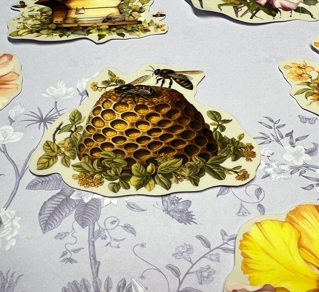 Buzzing Bee's and Honeycombs Stickers Set of 12 - Etsy
