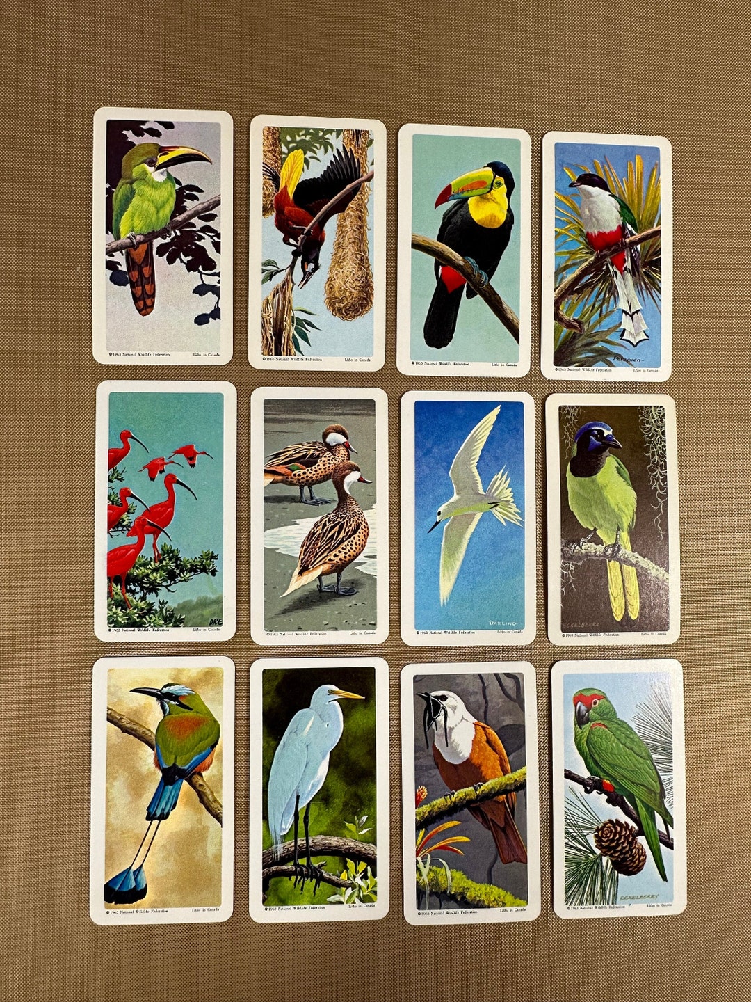 12 1963 Vintage Tea Cards Birds, Brooke Bond, Red Rose Tea - Etsy