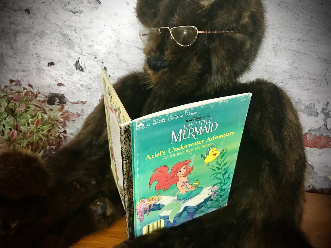 Walt Disney Pictures the Little Mermaid Ariel's Underwater Adventure A ...