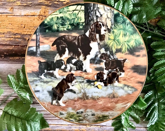 Springer Spaniels Robert Christie Classic Sporting Dogs Hamilton ...