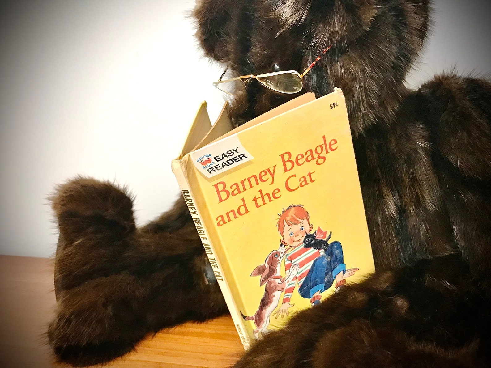 Barney Beagle and the Cat Wonder Books Easy Reader Jean - Etsy