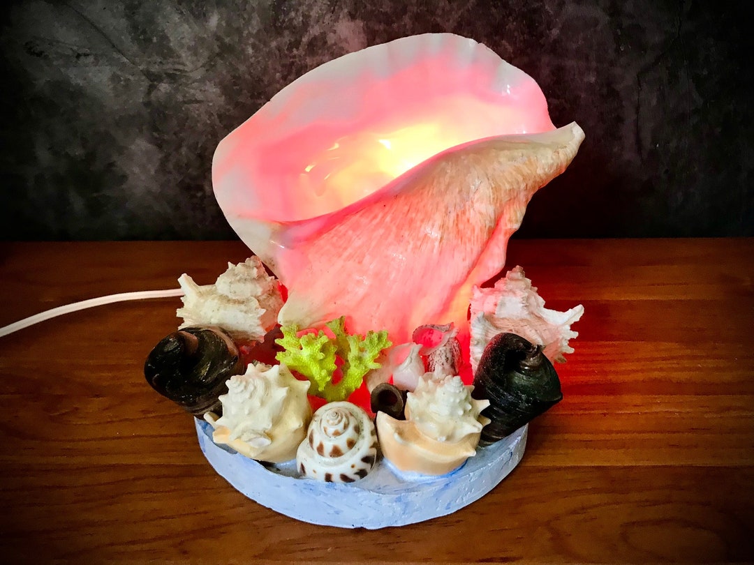 1960s Kitschy Shell Lamp T.V. Television Night Light Conch Coral Shells ...