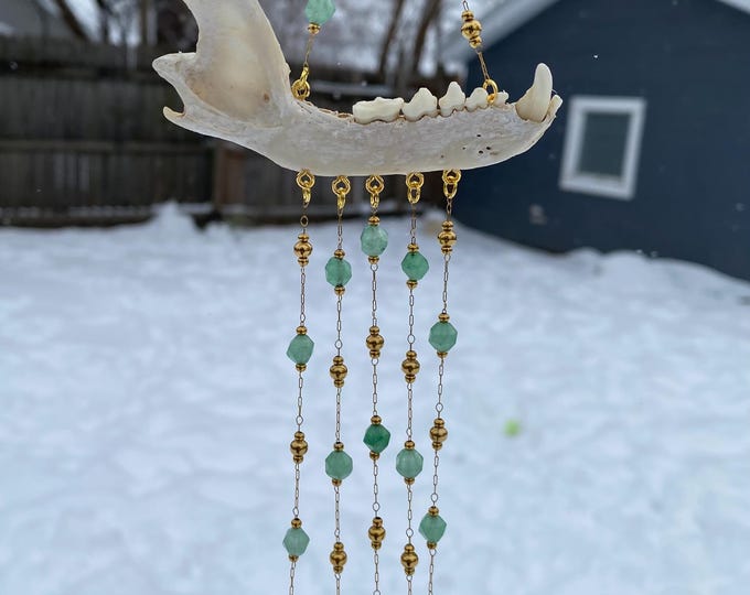 Real Raccoon Jaw Bone Hanging Crystal Wind Chime / Gothic Decor - Etsy