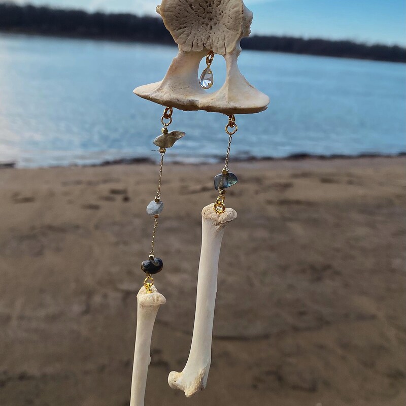 Animal Bones - Etsy