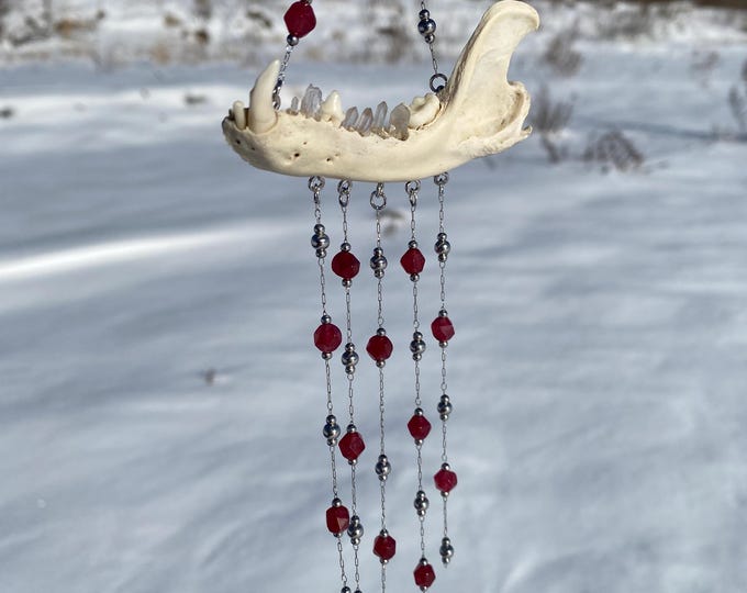 Real Raccoon Jaw Bone Hanging Crystal Wind Chime / Gothic Decor - Etsy