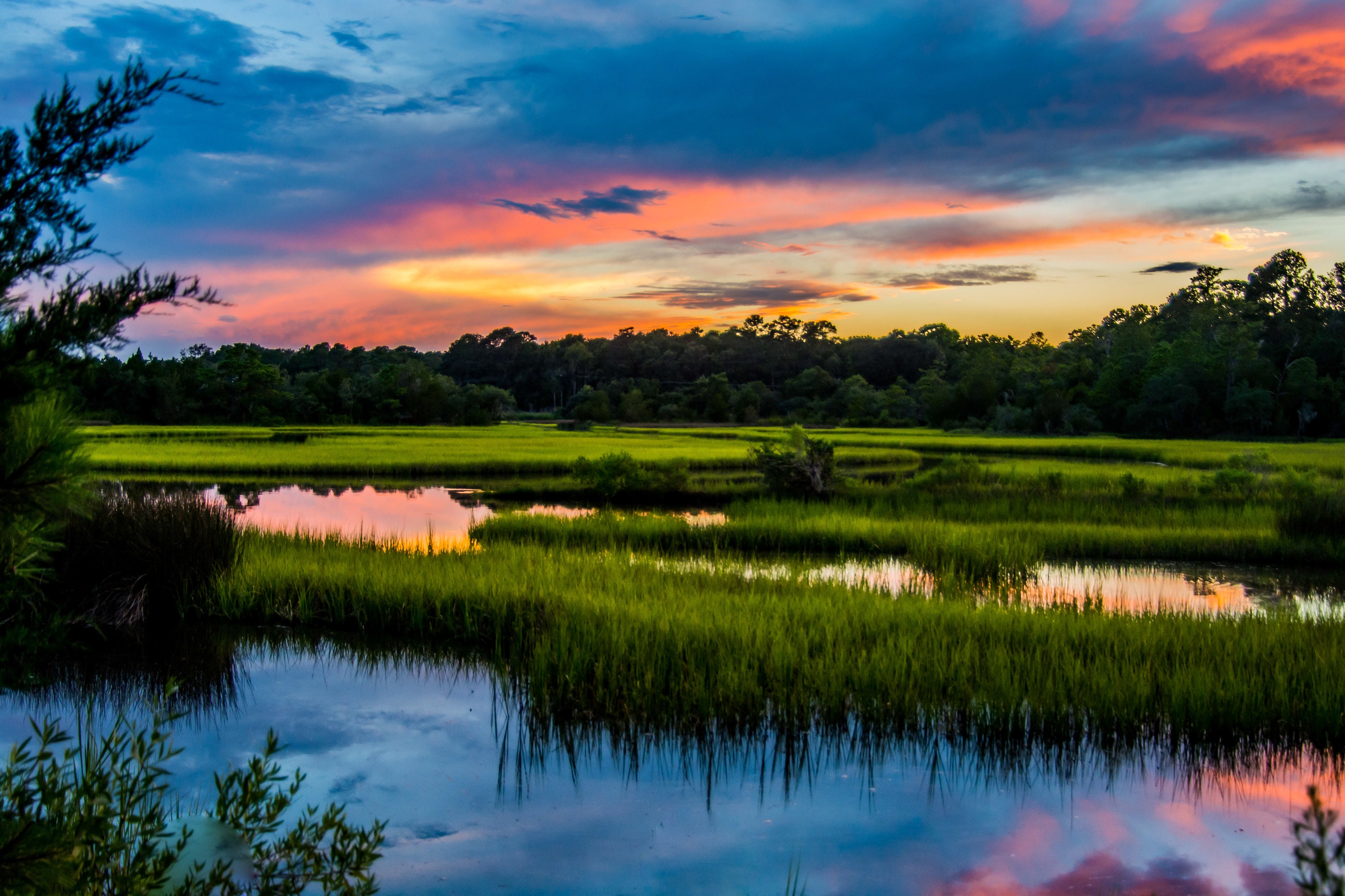 Marsh Sunset Charleston - Etsy