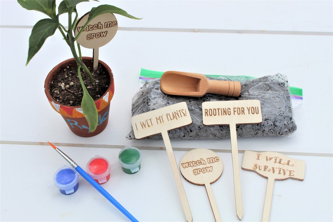 Kids Gardening Kit Summer Project, Kids Planting Kit DIY, Childrens ...