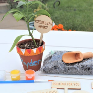 Kids Gardening Kit Summer Project, Kids Planting Kit DIY, Childrens ...