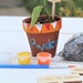 Kids Gardening Kit Summer Project, Kids Planting Kit DIY, Childrens ...