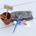 Kids Gardening Kit Summer Project, Kids Planting Kit DIY, Childrens ...