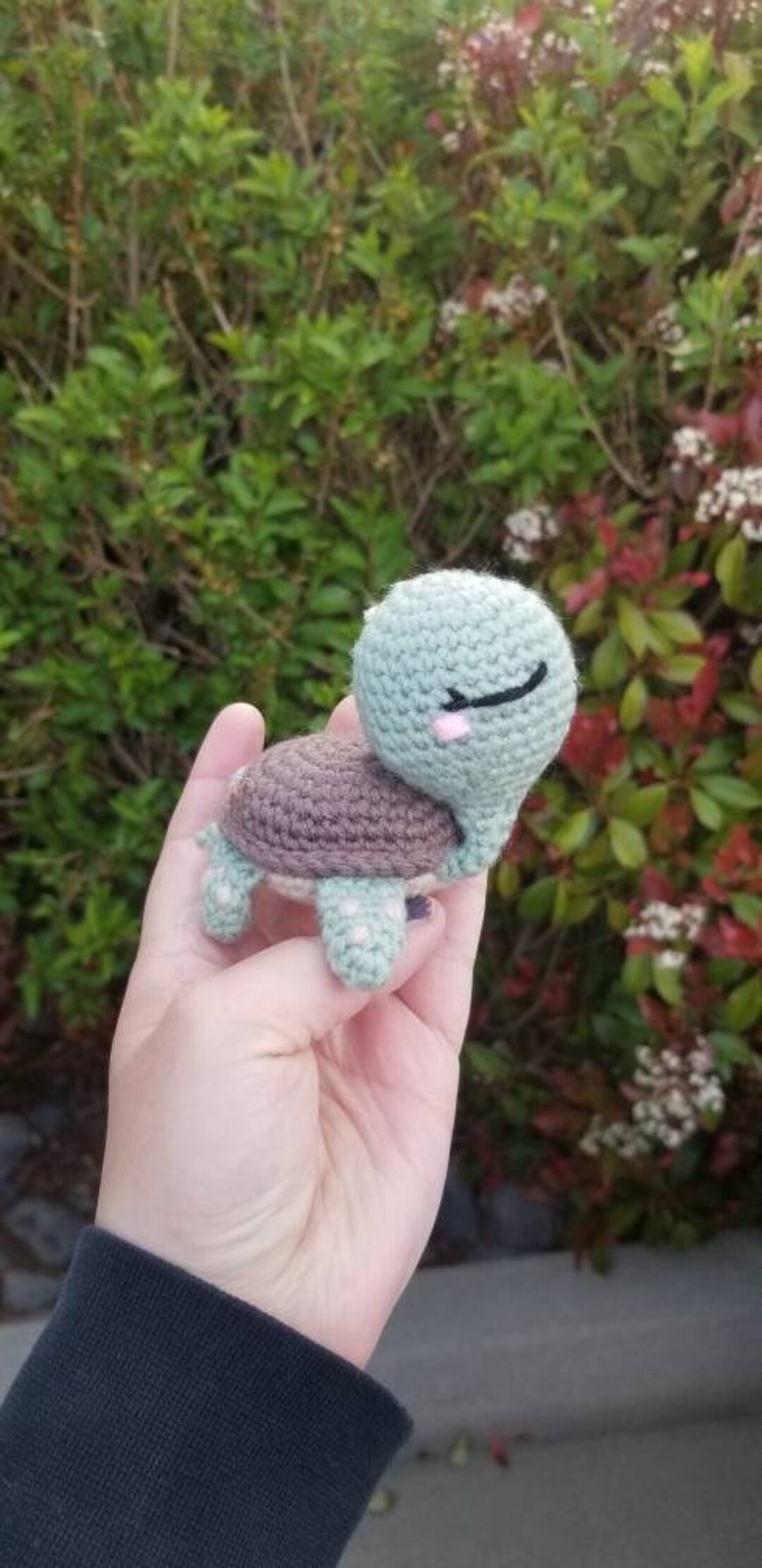 Baby Turtle - Etsy