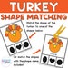 Thanksgiving Turkey 2D Shape Matching Clip Cards | Printable Math ...