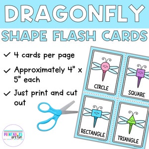 Dragonfly 2D Shape Posters and Flash Cards | Printable Math Activity ...
