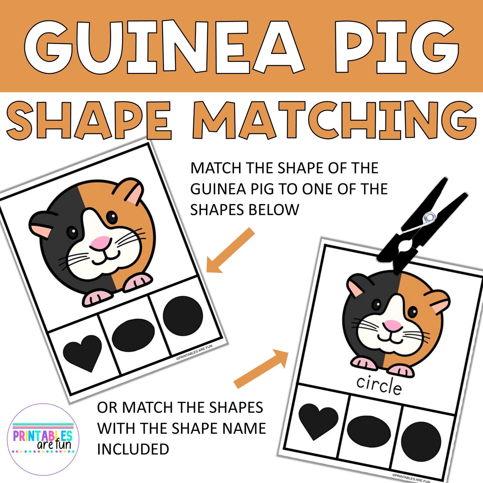 Guinea Pig 2D Shape Matching Clip Cards | Printable Math Activity for ...