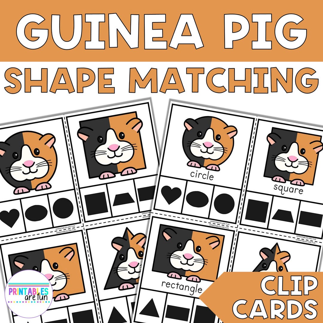 Guinea Pig 2D Shape Matching Clip Cards | Printable Math Activity for ...