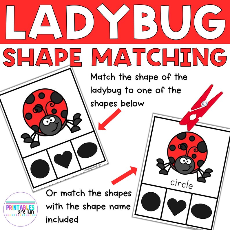 Ladybug 2D Shape Matching Clip Cards | Printable Math Activity for ...