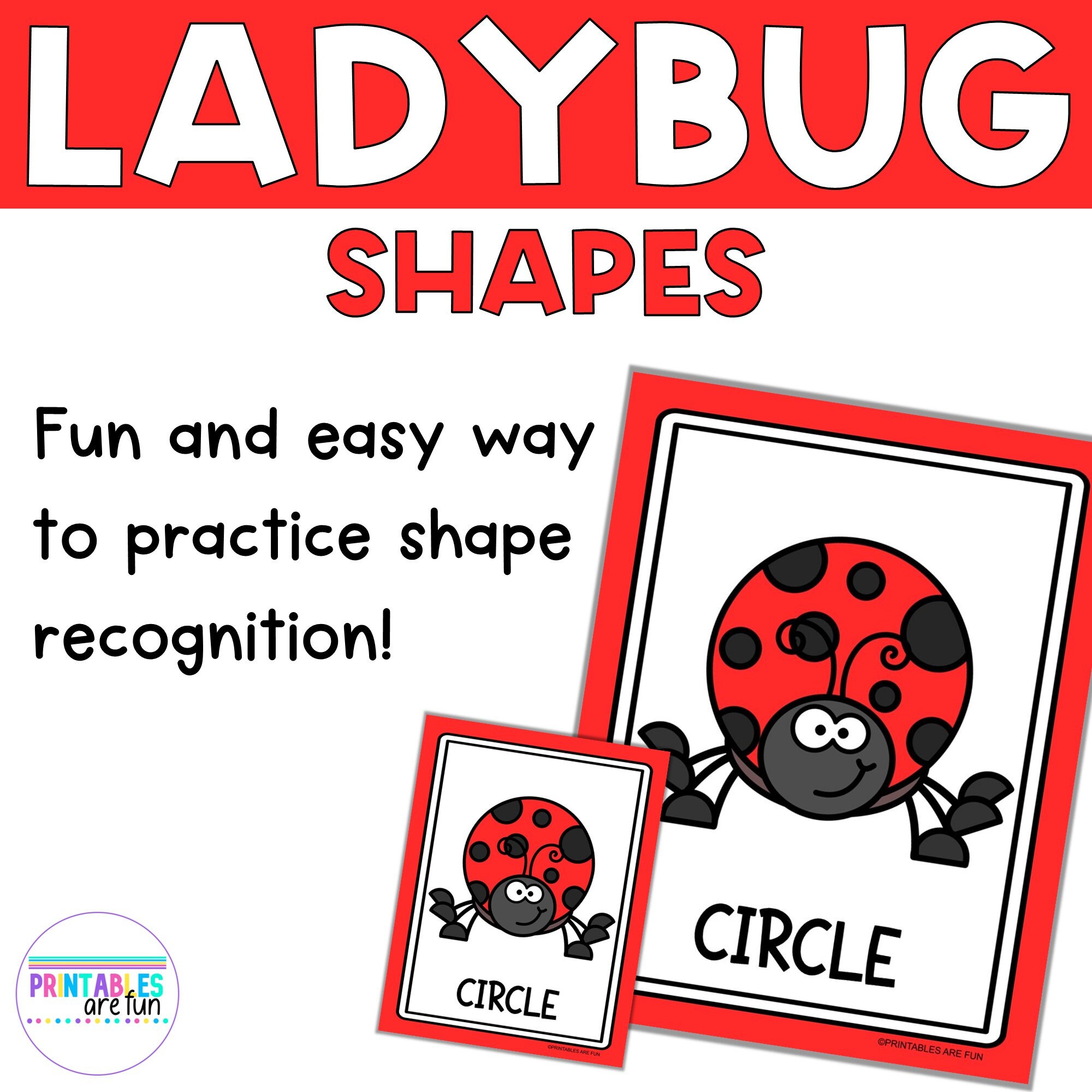 Ladybug 2D Shape Posters and Flash Cards | Printable Math Activity for ...