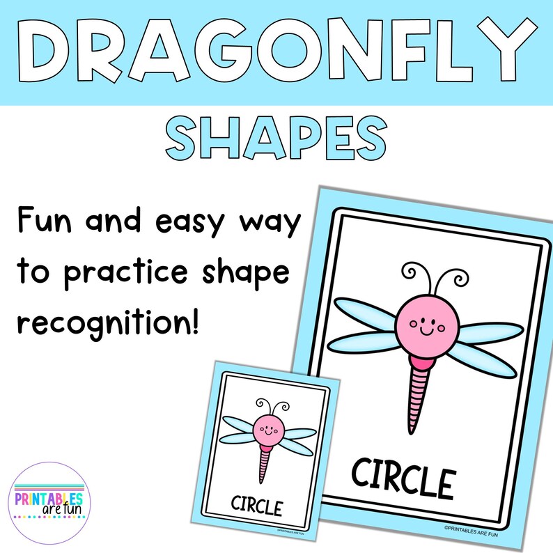 Dragonfly 2D Shape Posters and Flash Cards | Printable Math Activity ...