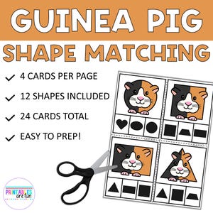 Guinea Pig 2D Shape Matching Clip Cards | Printable Math Activity for ...