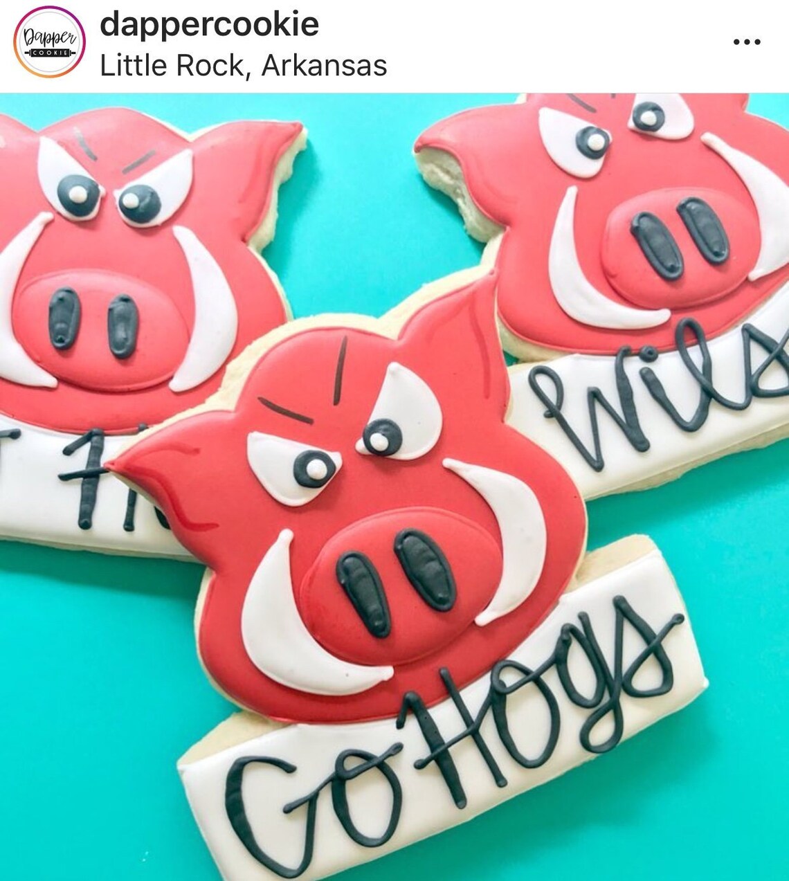 Razorback With Plaque Cookie Cutter (designed by Stephanie Reeves ...