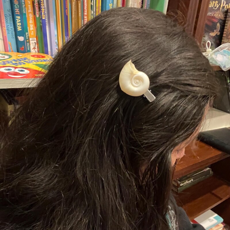Sea Shell Hair Clips - Etsy